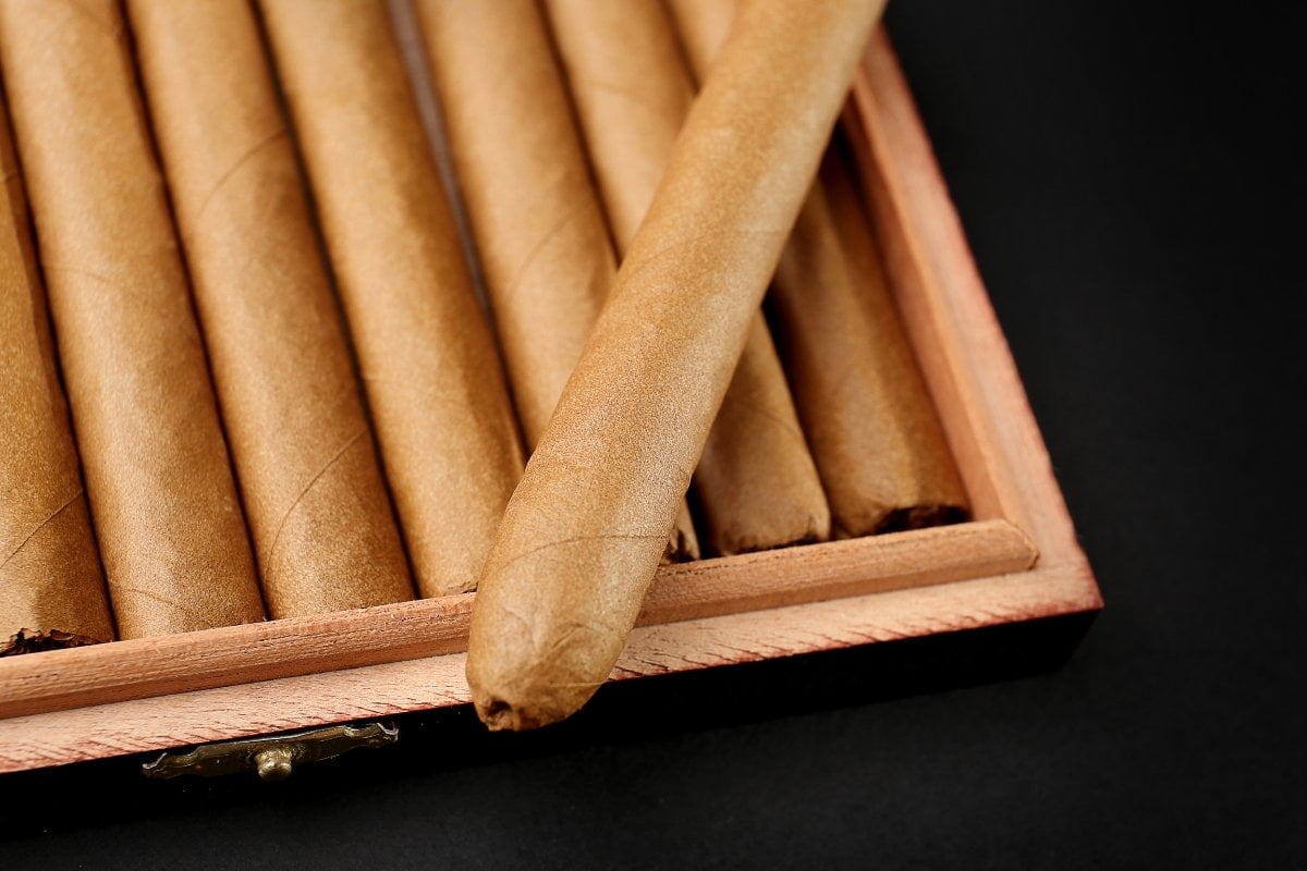 Aging Cigars in Their Boxes - A Guide to Optimal Storage and Preservation