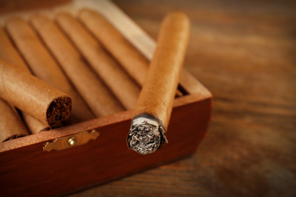 From Hobby to Art Form: Unveiling the World of Cigar Collecting
