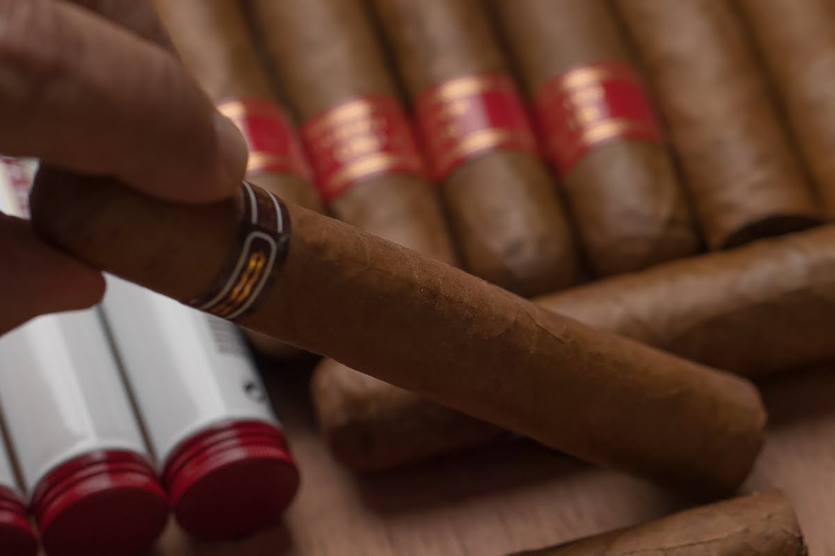 From Hobby to Art Form: Unveiling the World of Cigar Collecting